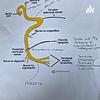 Listen to Anatomy Facial Nerve FRCA Podcast